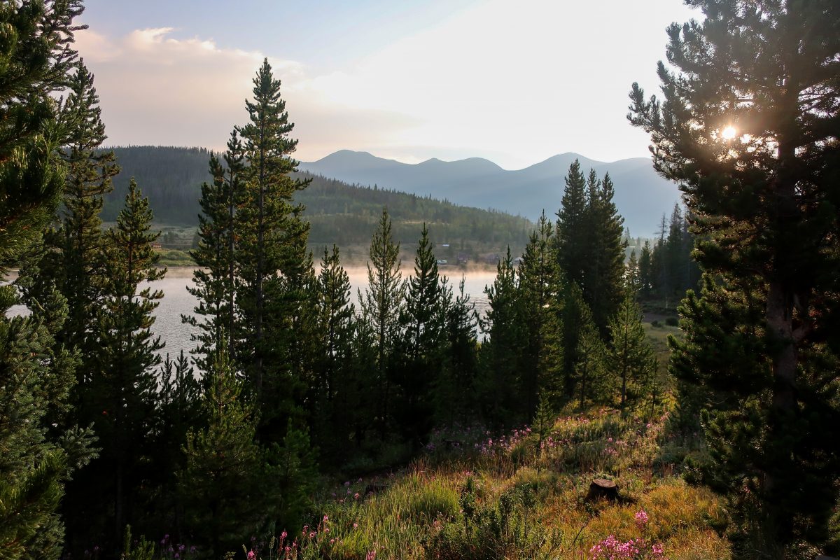 Beginner’s Campground Guide: North Michigan at State Forest State Park ...