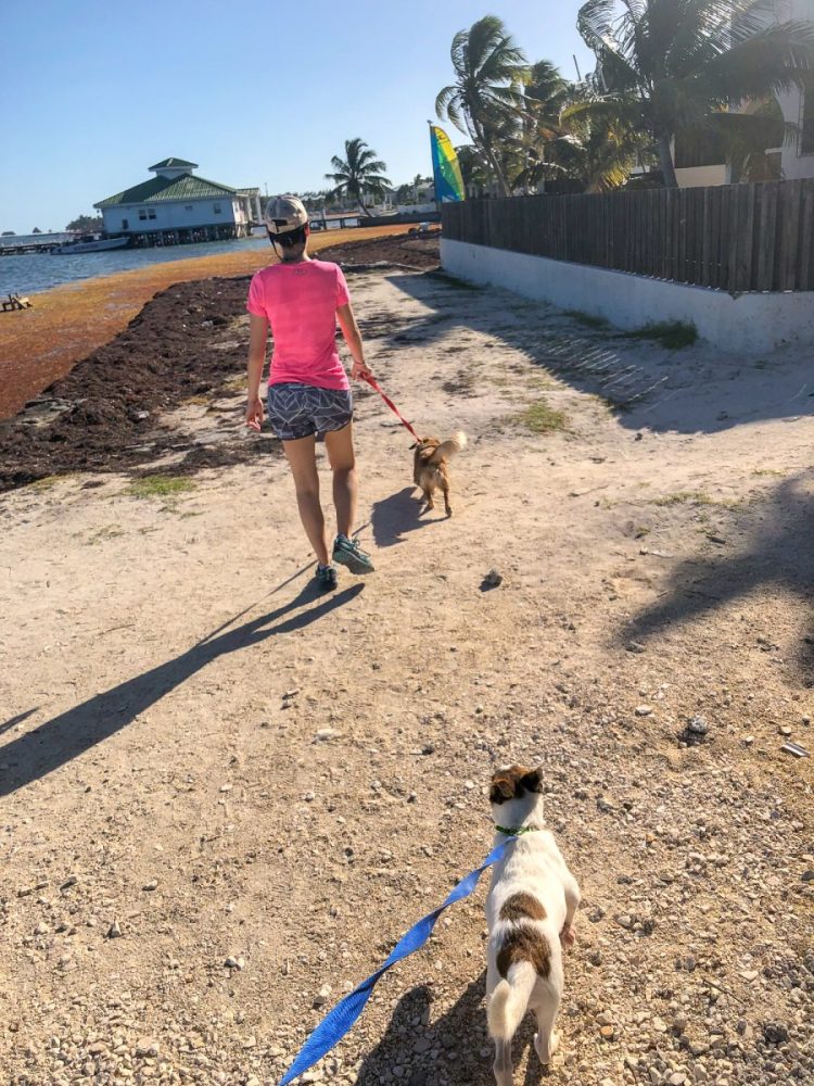 Beginner’s Travel Guide: Three Days in San Pedro, Belize – Outdoor Beginner