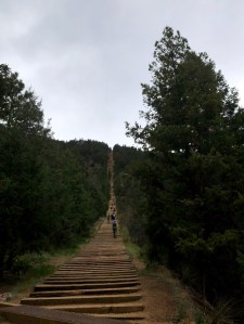 Beginner Trail Guide: The Manitou Incline – Outdoor Beginner